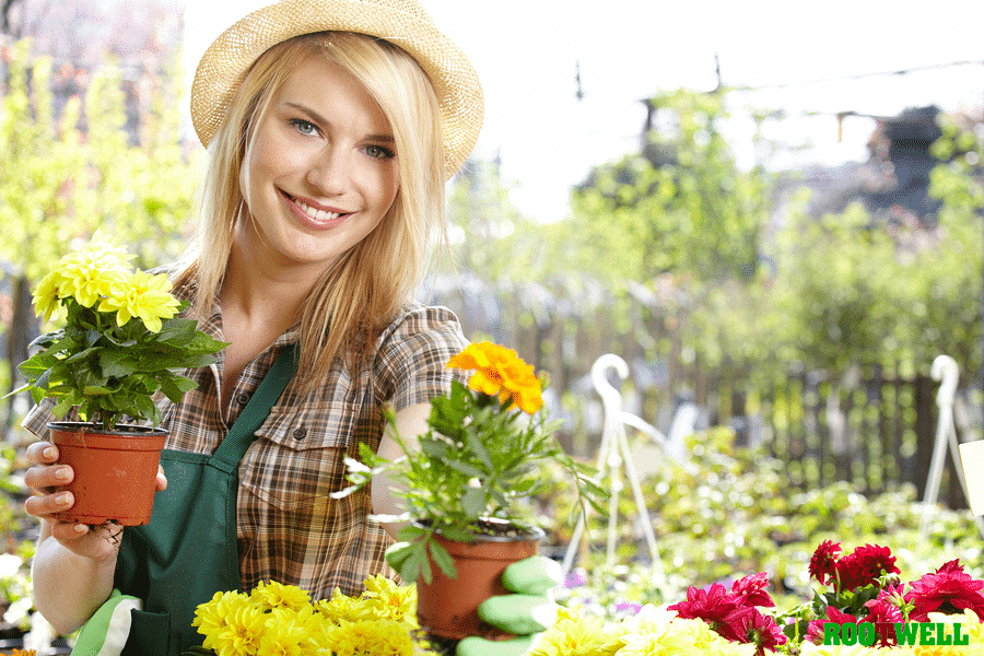 June Gardening Tips for the Southwest