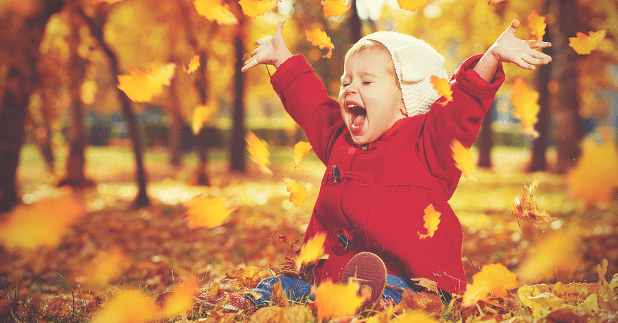9 Trees to Grow for Beautiful Fall Colors