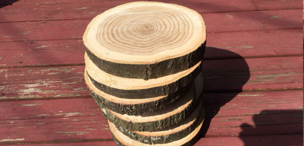 Recycling Wood: 8 Creative Ways to Use Wood Slices